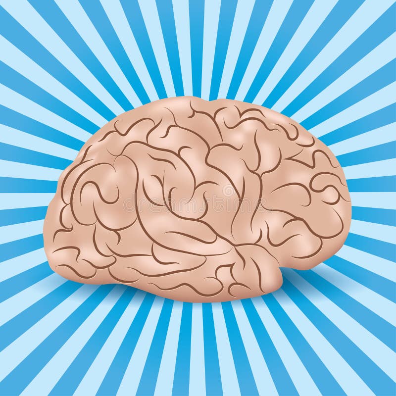 Healthy Brain on a Blue Background with Lines Stock Illustration ...
