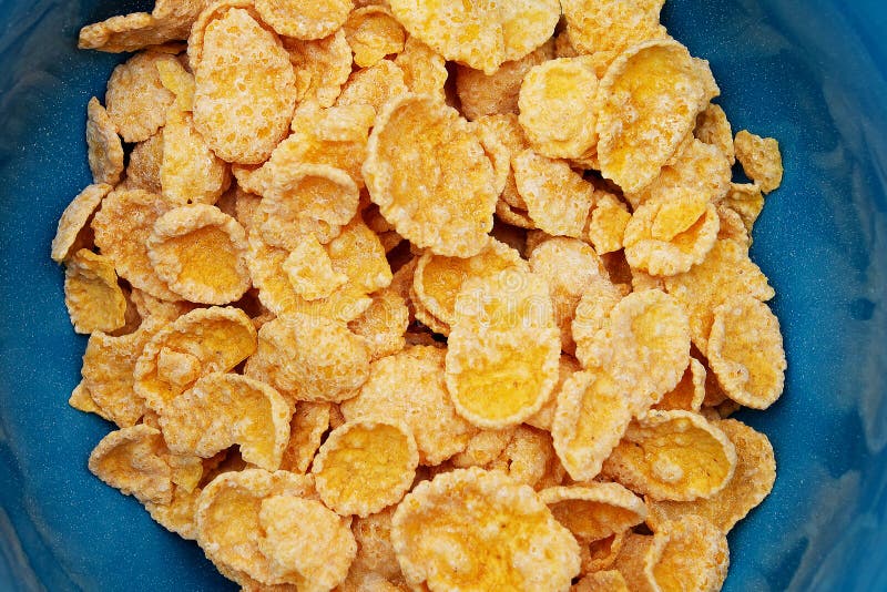 Healthy Breakfast. Cornflakes Stock Image - Image of healthy, diet ...
