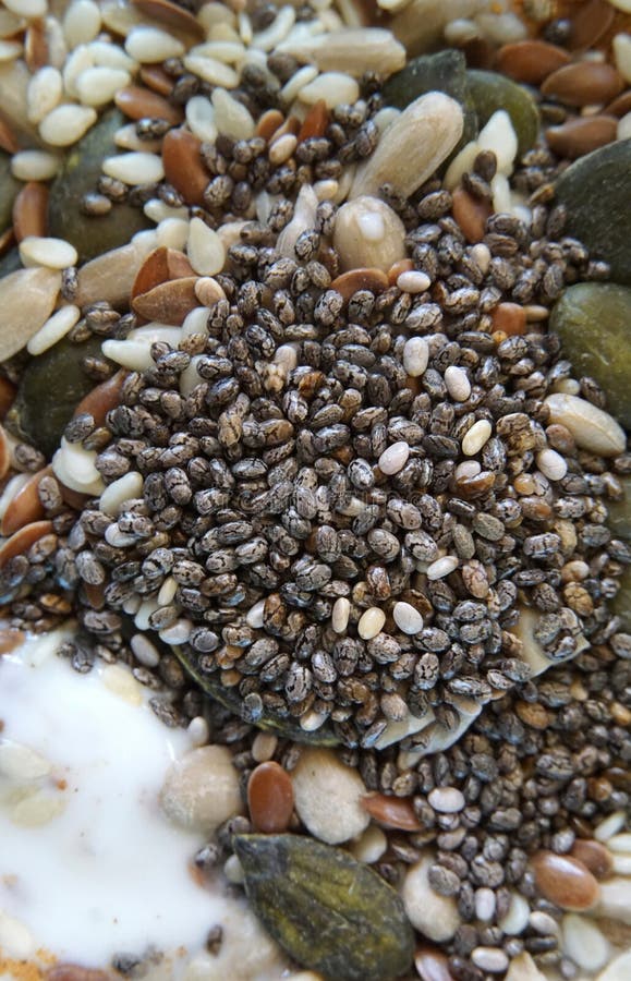 Healthy Breakfast Ingredients Cereals, , Seeds and Joghurt Close Up ...