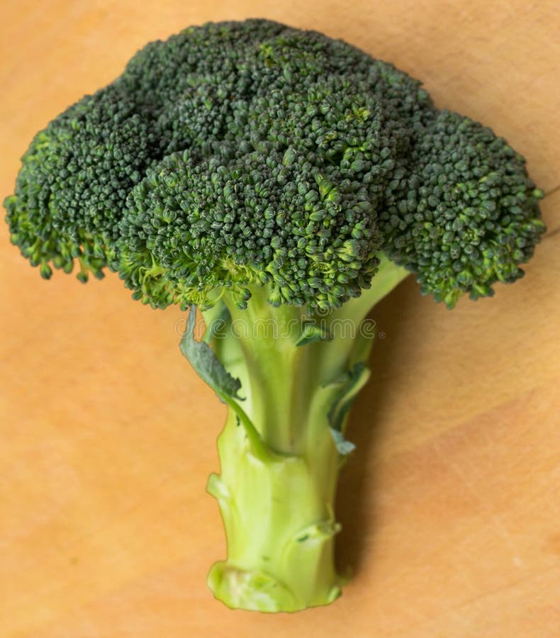 Healthy Broccoli and Florets on Wooden Board Stock Photo - Image of ...