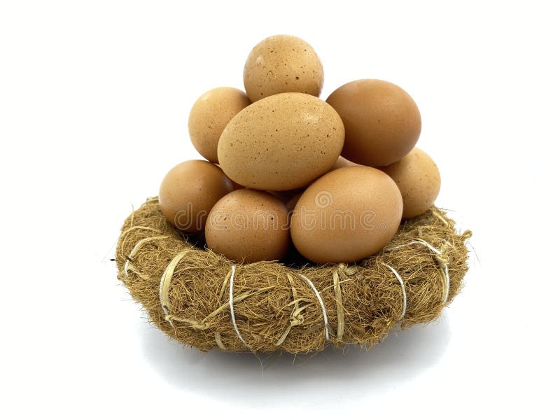 Egg white background stock photo. Image of welfare, animal - 264744272