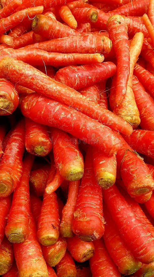 Healthy carrots vegetables stock image. Image of plant - 264140969