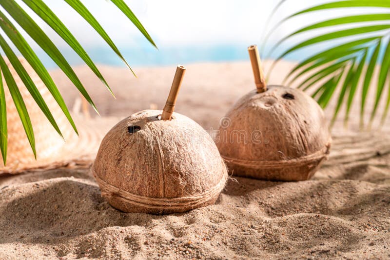 Healthy Coconut Milk in Shell Ready To Drink Stock Photo - Image of ...