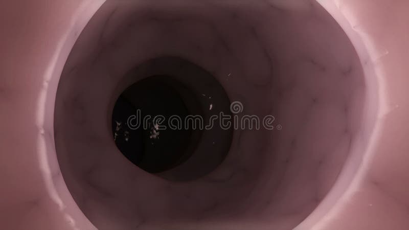 A healthy colon stock video. Video of guts, large, science - 35469595