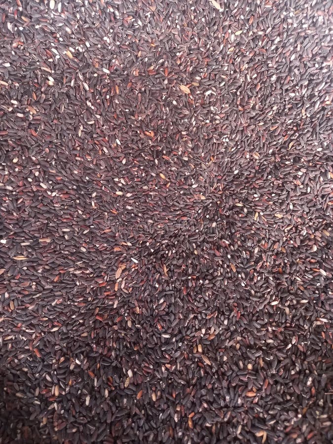 Healthy Colorful Glutinous Rice Stock Image - Image of leaf, flooring ...