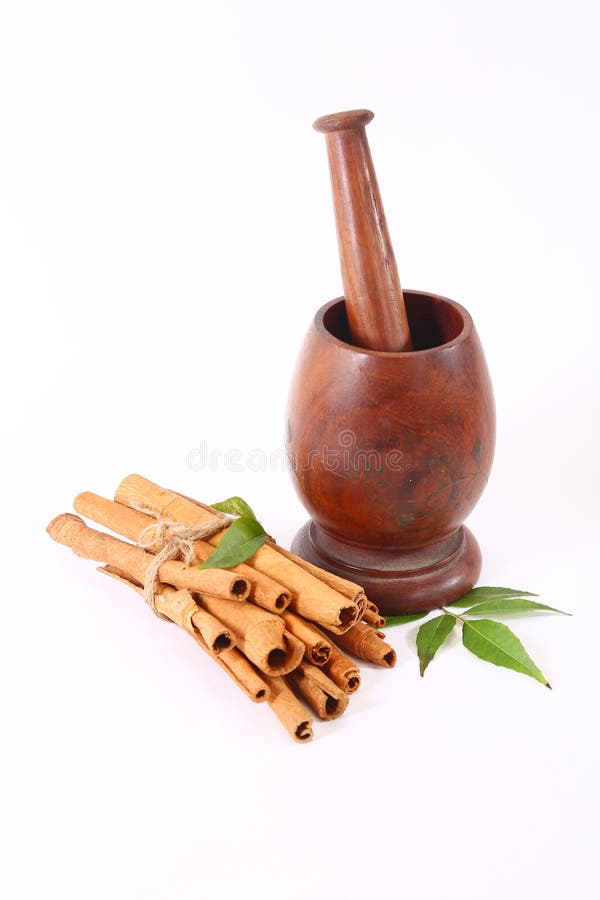 Dalchini or Cinnamon Sticks, Indian Spice Stock Photo - Image of ceylon ...