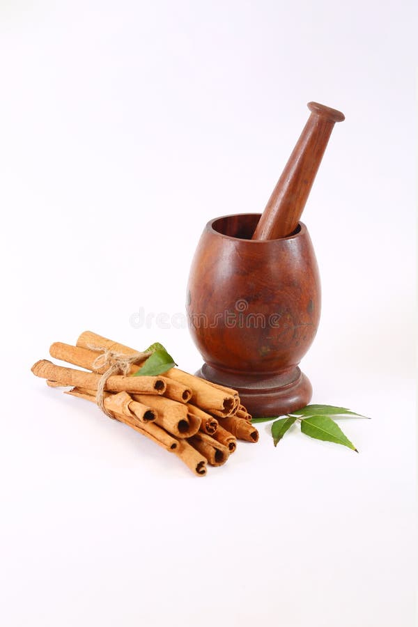 Dalchini or Cinnamon Sticks, Indian Spice Stock Image - Image of cassia ...