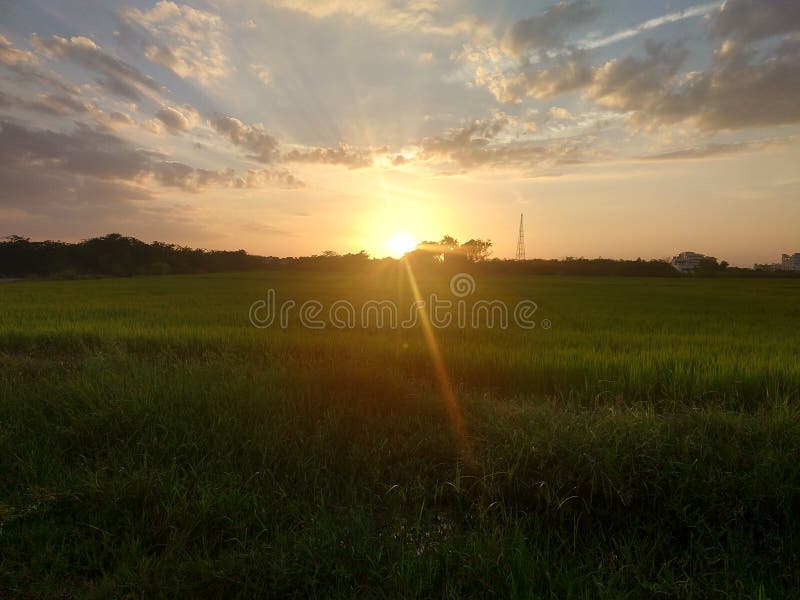 Bright evening stock photo. Image of evening, healthy - 125980072
