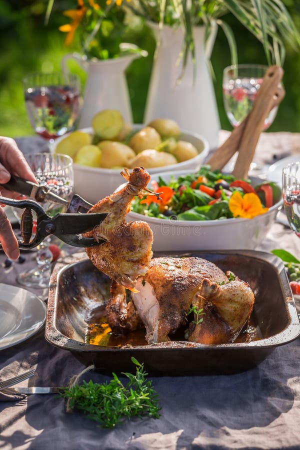 Healthy Dinner with Chicken and Vegetables Served in the Countryside ...