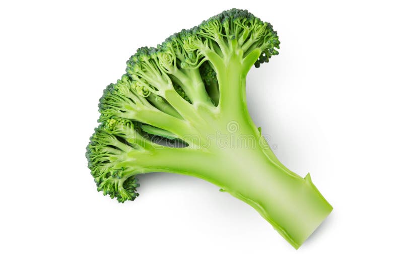 Half of broccoli stock image. Image of single, fruits - 46056235