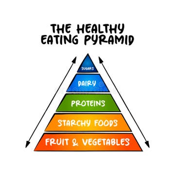 The Healthy Eating Pyramid is Divided into Layers of Differing Sizes ...