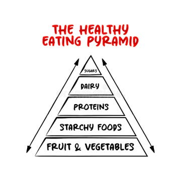 The Healthy Eating Pyramid is Divided into Layers of Differing Sizes ...