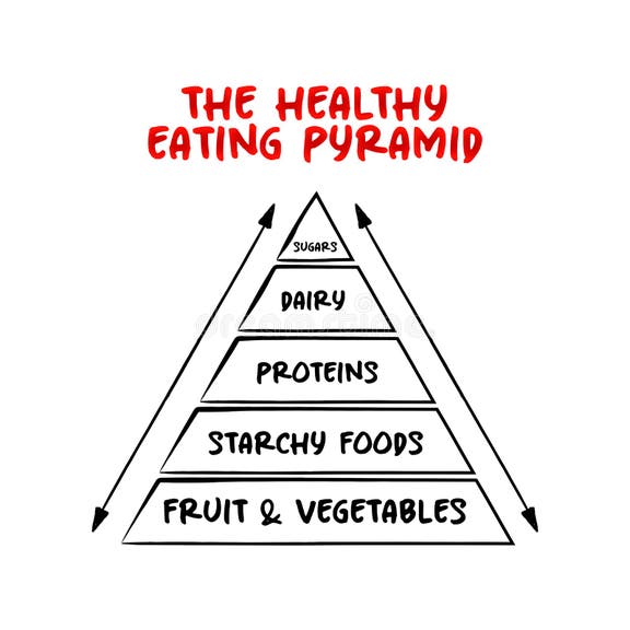 The Healthy Eating Pyramid is Divided into Layers of Differing Sizes ...