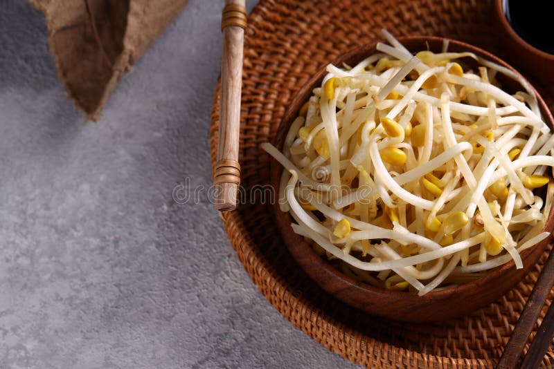 Sprouted beans microgreens stock image. Image of growth - 203307911