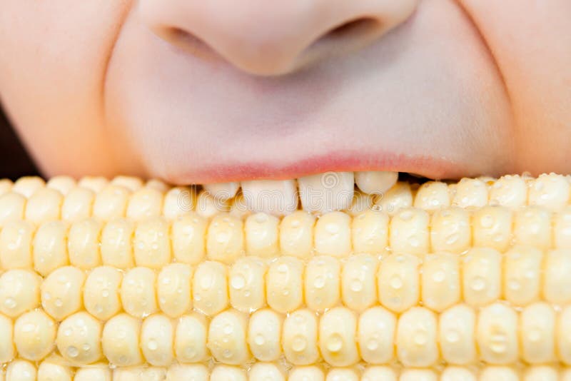 Healthy eating yellow corn stock photo. Image of cute - 42725624