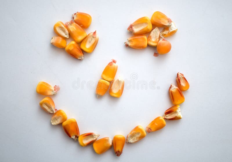 Healthy Ecological Corn in the Form of a Happy Smiley Face Stock Photo ...