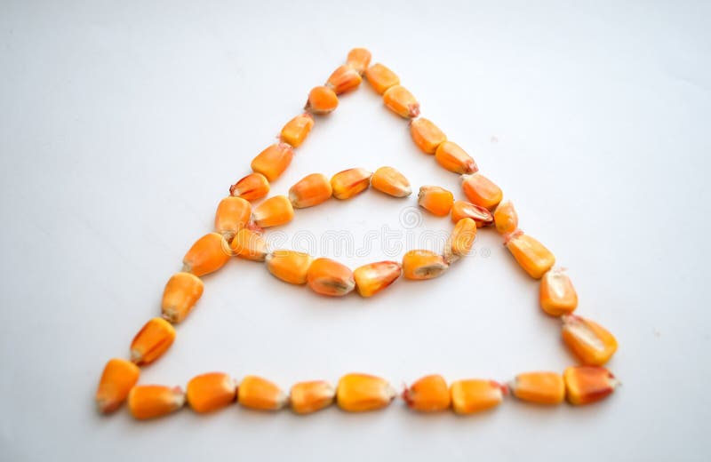 Healthy Ecological Corn in the Form of a Triangle with an Eye on Stock ...