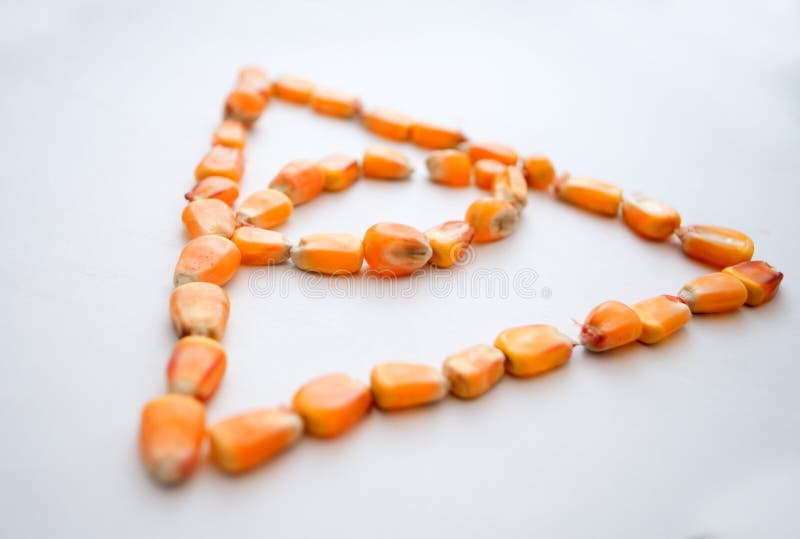 Healthy Ecological Corn in the Form of a Triangle with an Eye on Stock ...