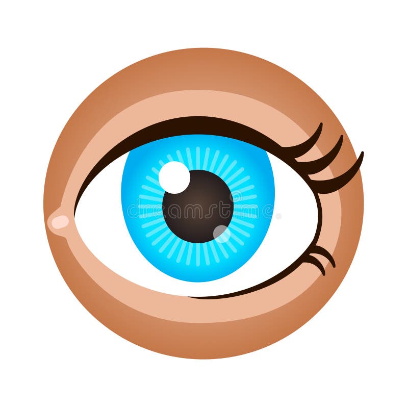 Healthy eye. stock vector. Illustration of icon, healthy - 92723688