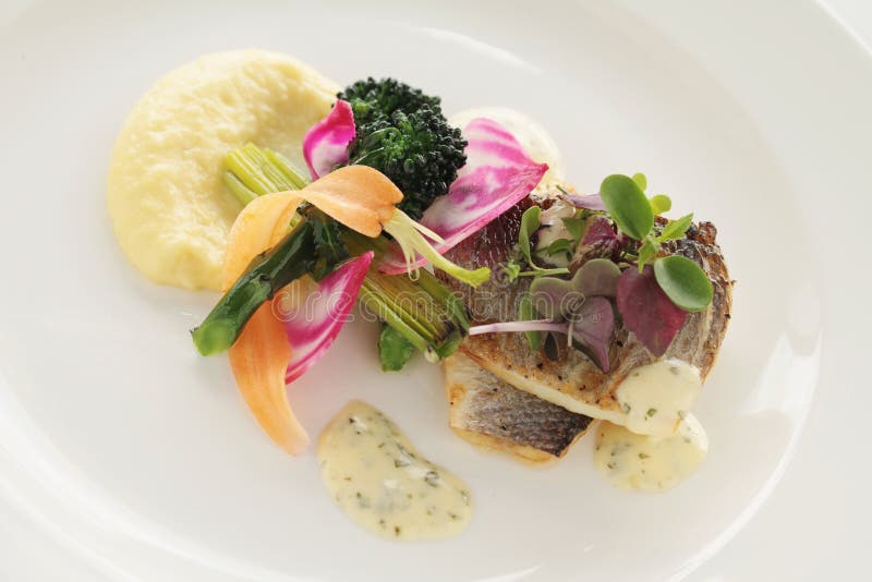 Healthy fish meal stock photo. Image of lunch, plated - 61849346