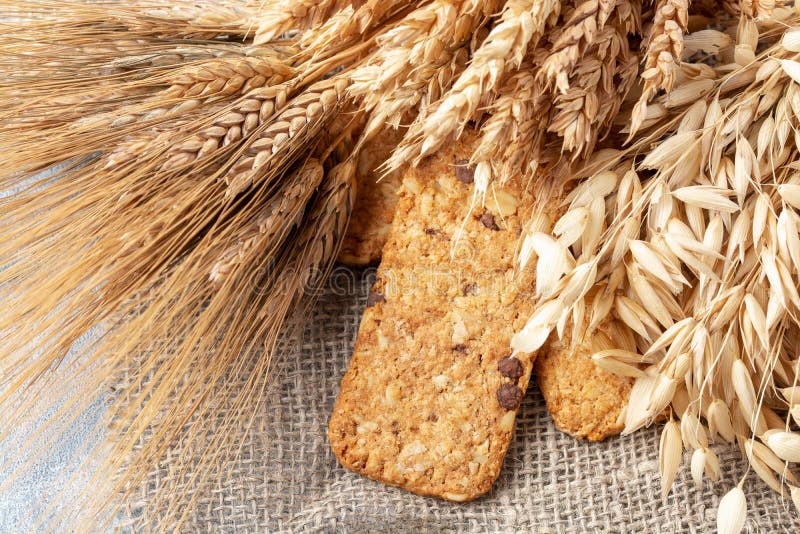 Healthy Food Concept: Cereal Biscuits with Ears Stock Photo - Image of ...