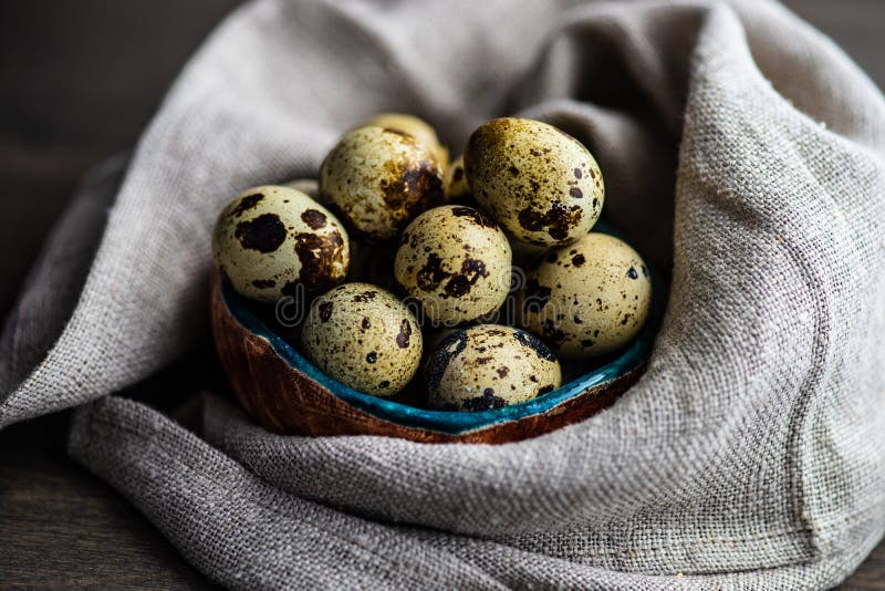 Healthy food concept stock image. Image of cook, common - 145986541