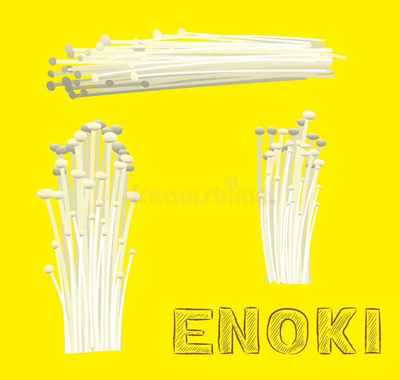 Mushroom Type Enoki Vector Illustration Stock Vector - Illustration of ...