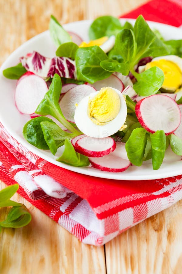 Healthy Food - Fresh Salad with Egg Stock Photo - Image of focus ...