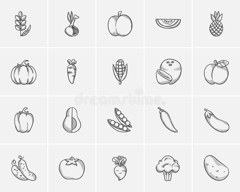 Healthy Food Line Design Infographic Template Stock Vector ...