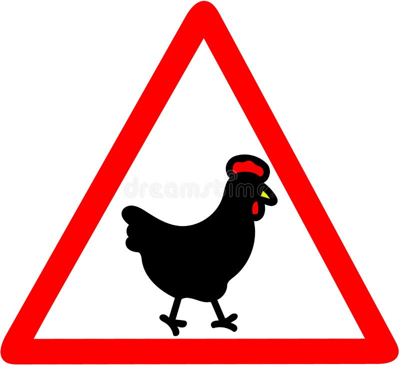 Healthy Free Feeding Chicken Meat and Egg Stock Vector - Illustration ...