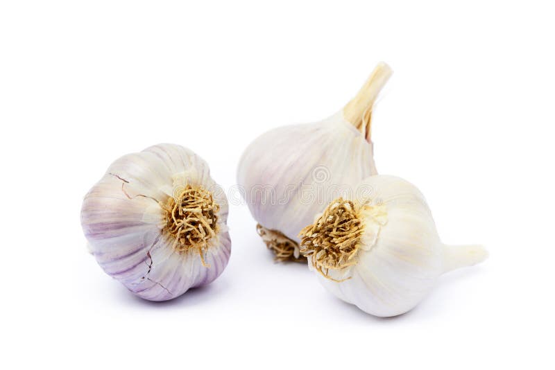 Healthy fresh garlic stock image. Image of fresh, still - 84486507