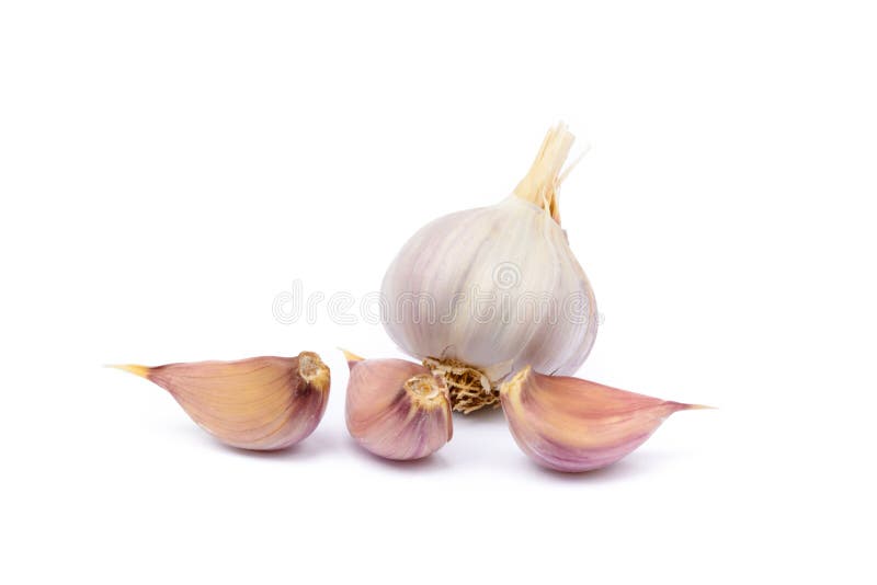 Healthy fresh garlic stock image. Image of cooking, still - 84486919