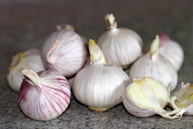 Healthy fresh large garlic stock photo. Image of leaf - 85637076