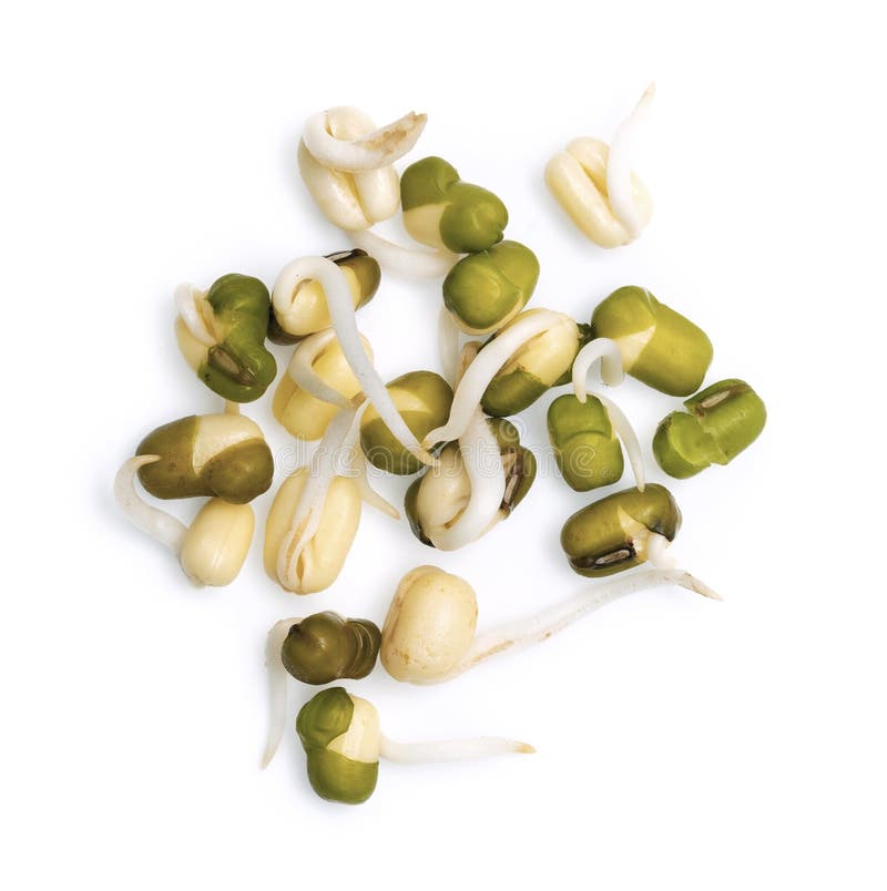 Healthy Fresh Sprouts Separated on White Background, Top View Stock ...