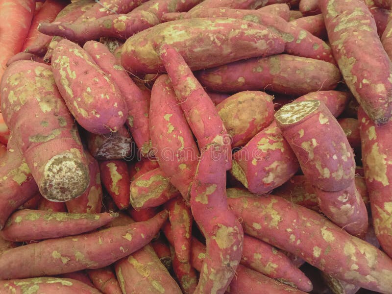 Healthy Fresh and Sweet Flavoured Vegetable Sweet Potato Stock Photo ...