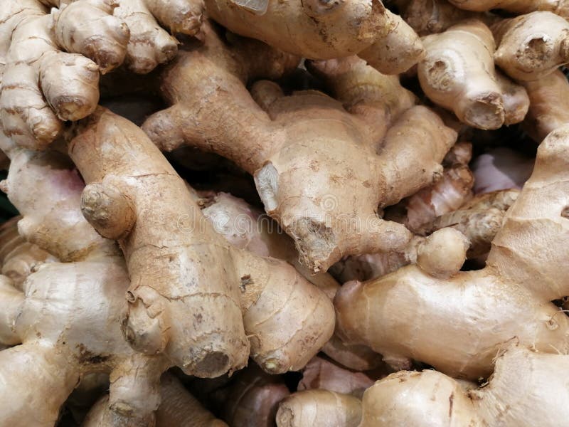 Healthy Fresh Vegetable Ginger Root Stock Image - Image of fresh ...