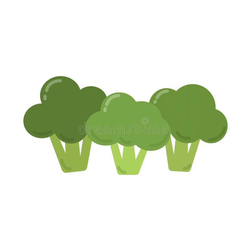 Healthy Green Broccoli Graphic Illustration Stock Vector - Illustration ...