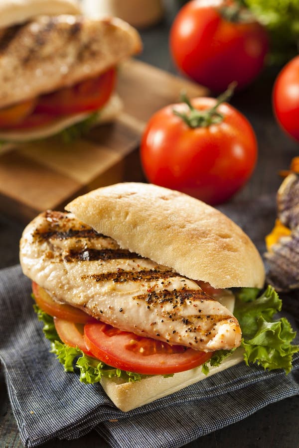 Healthy Grilled Chicken Sandwich Stock Image - Image of sandwich, chips ...
