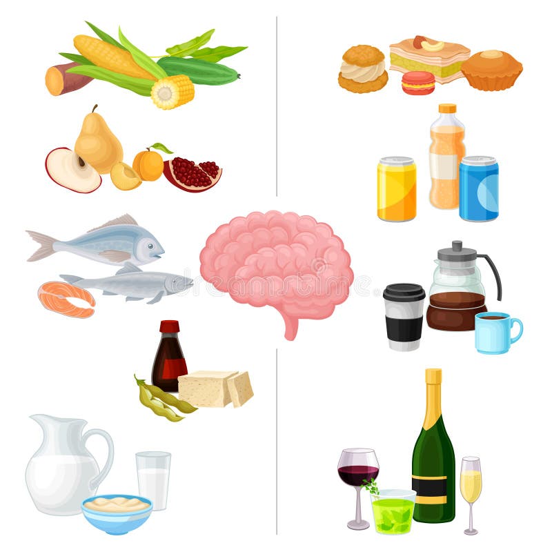 Healthy and Harmful Food for Brain Vector Set. Nutrition for Good and ...