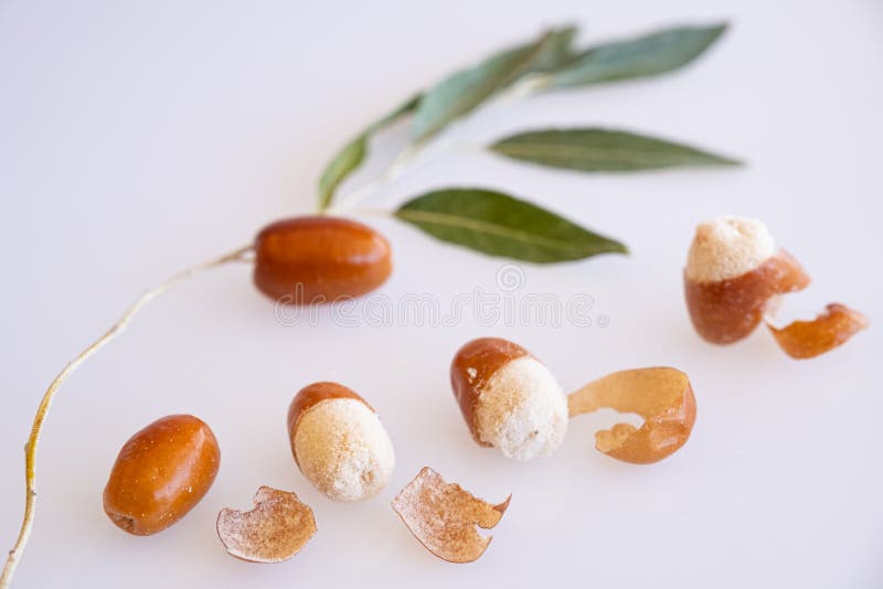 Healthy and Healing Natural Oleaster Fruits Stock Image - Image of ...