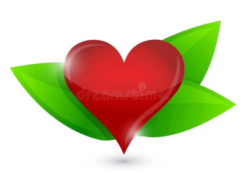 Healthy Heart Illustration Design Concept Stock Illustration ...