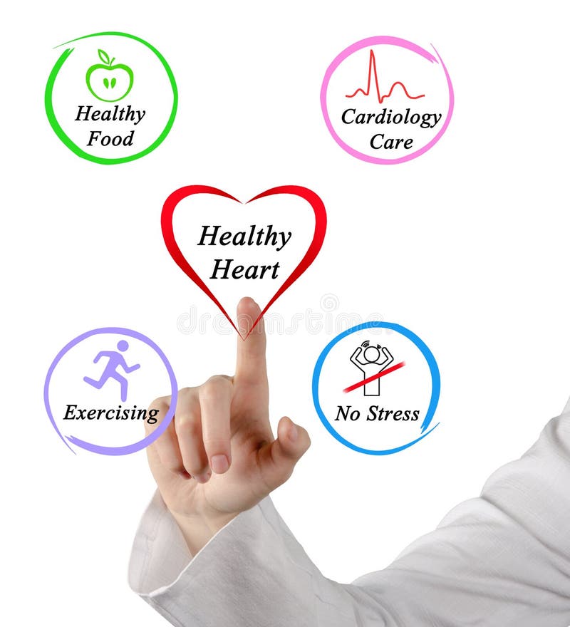 Healthy heart stock photo. Image of female, diet, person - 85608302