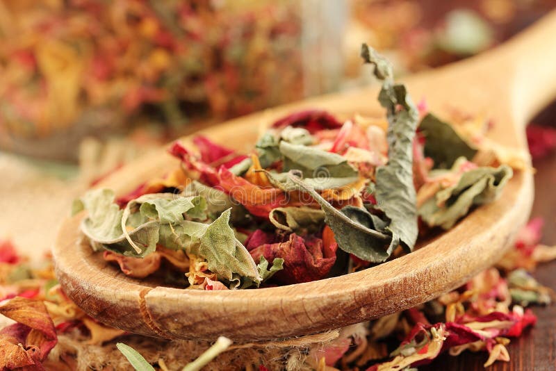 1,212 Tea Rose Mint Black Stock Photos - Free & Royalty-Free Stock ...