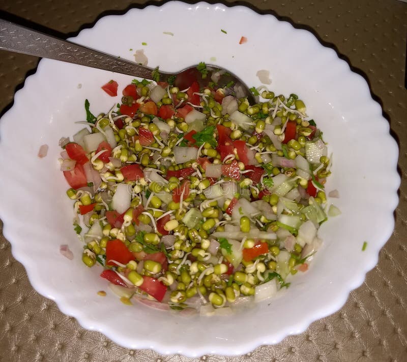 Healthy Homemade Sprouts for Balance Diet Stock Photo - Image of diet ...