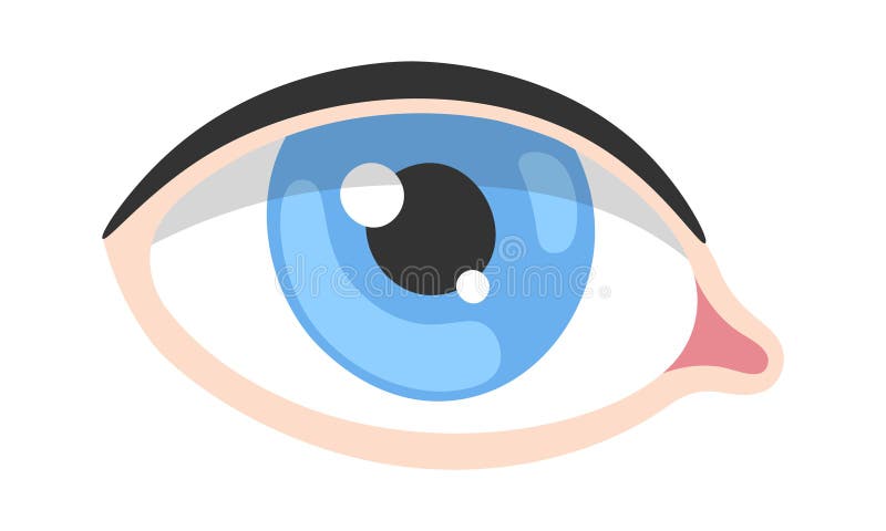 Healthy Human Eye stock vector. Illustration of face - 276071085