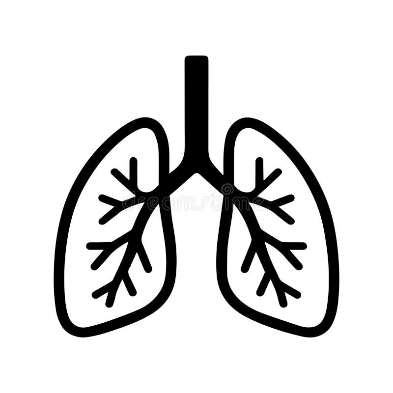 Healthy Human Lungs Anatomy Icon with Bronchial Tree Structure Stock ...