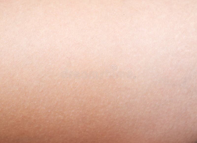 Skin texture stock image. Image of pattern, peel, integument - 193080549