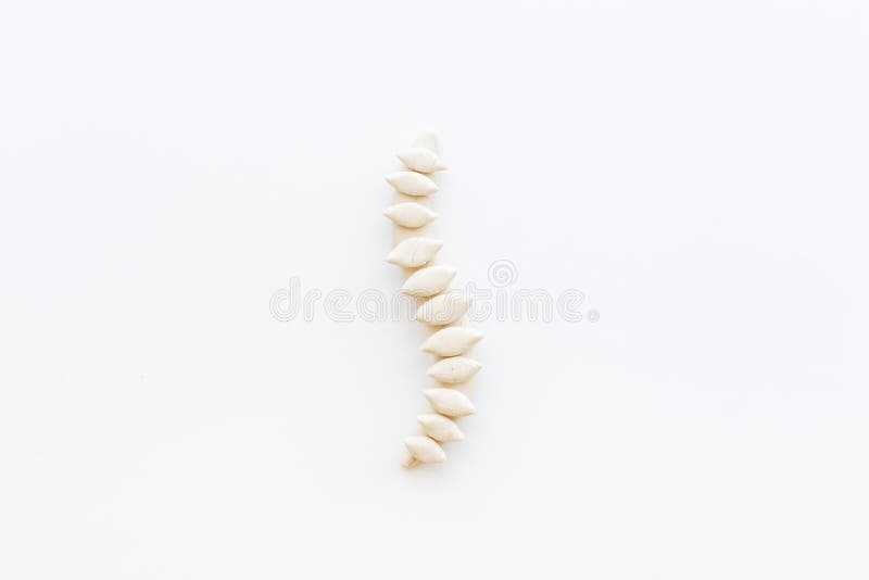 Healthy Human Spinal Column Skeleton Model. Top View Stock Image ...