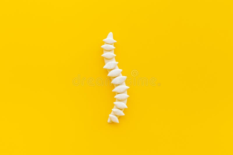 Healthy Human Spinal Column Skeleton Model. Top View Stock Image ...