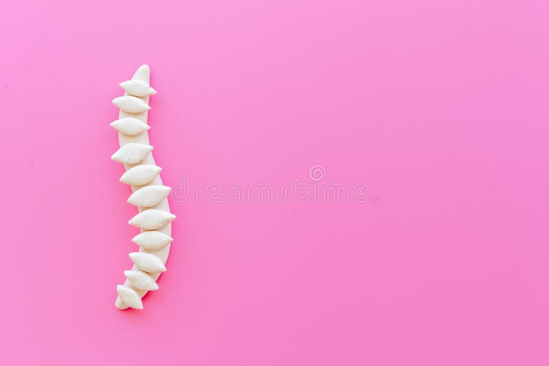 Healthy Human Spinal Column Skeleton Model. Top View Stock Image ...